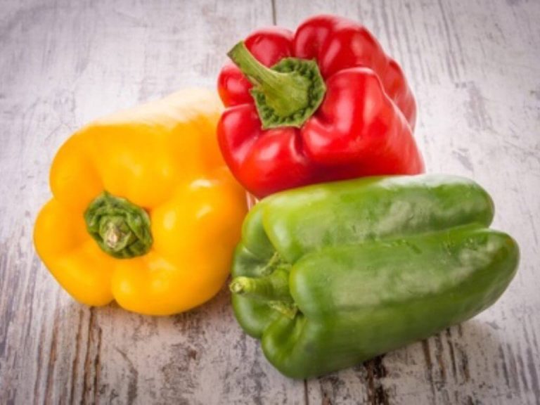 6 bienfaits du poivron doux (rouge, vert, orange et jaune) - Caroline ...